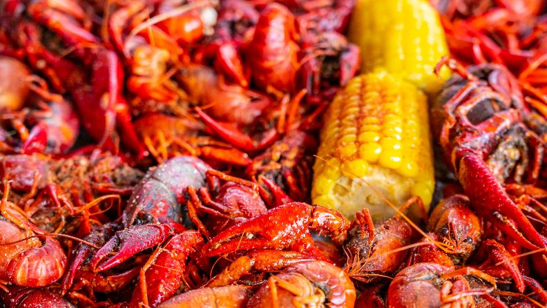 Epic Buffet: All-You-Can-Eat Buffet | Hollywood Casino Gulf Coast